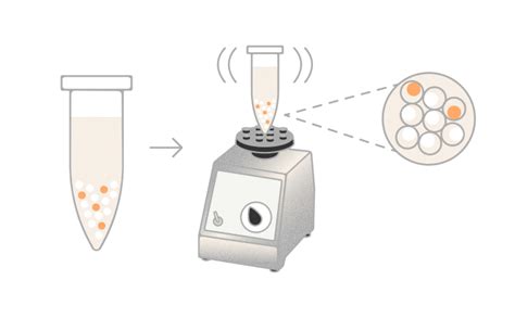 Illumina Single Cell 3 Rna Prep Accessible And Scalable Scrna Seq