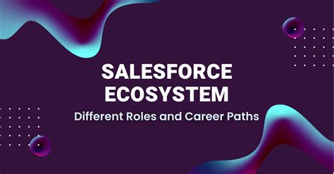 Salesforce Ecosystem Different Roles And Career Paths Ziddu