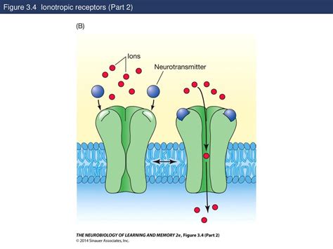 Chapter 3 Opener Ppt Download