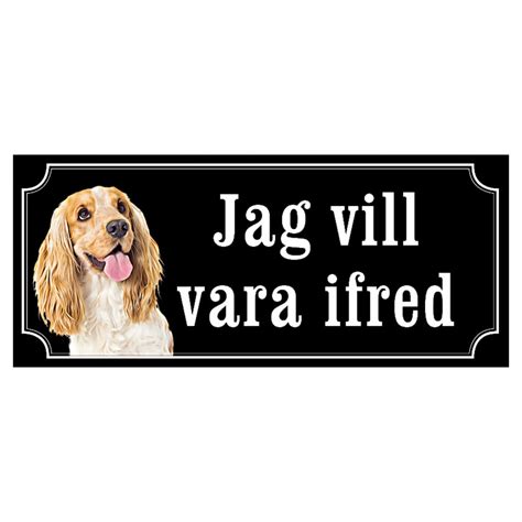 Cocker Spaniel Brunvit Hundskyltar Snabb Leverans