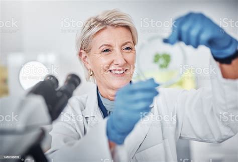 과학 연구 및 식물은 혁신 또는 개발을 위해 생물학 실험실에서 일하는 의사 여성과 함께 샘플링합니다 의료 의학 및 실험실에서 일하는 여성 과학자와의 연구 Stem 주제에
