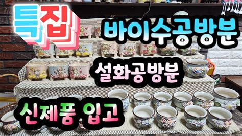 2월 2일 특집 바이수공방분 과 설화공방분 신제품입고 Youtube