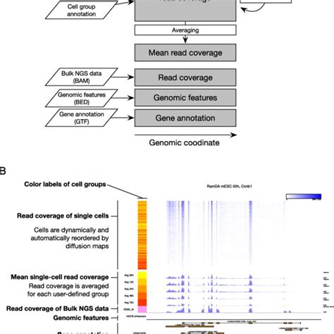 Example Of Quality Control Of Scrna Seq Methods Visualization Of Read Download Scientific