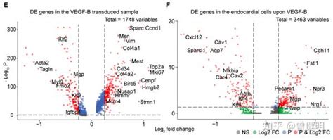 单细胞亚群比例变化和表达量差异分析 知乎
