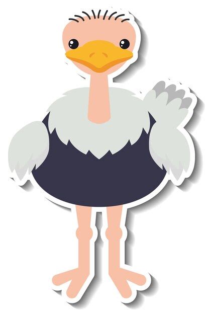 Ostrich Clip Art Vectors And Illustrations For Free Download Freepik