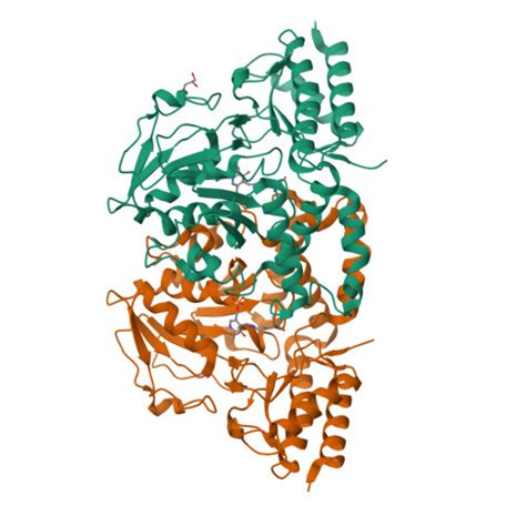 Rcsb Pdb 3e77 Human Phosphoserine Aminotransferase In Complex With Plp
