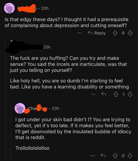 Self Proclaimed Incel Thinks He Won An Online Argument R Inceltear