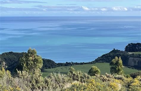 Best Hikes And Trails In Putangirua Pinnacles Scenic Reserve Alltrails
