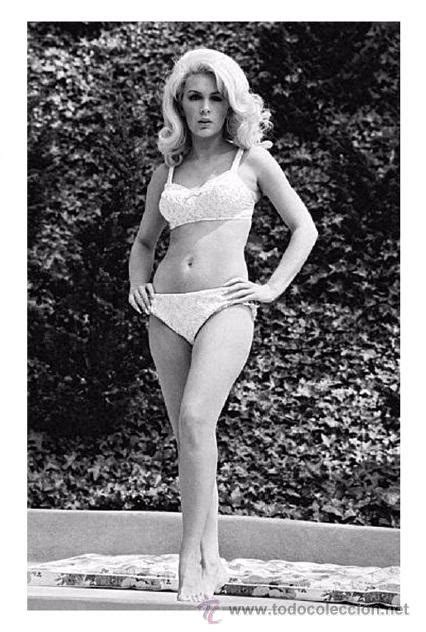 Plamyamtes Of Playboy Stella Stevens Postcard Buy Old Postcards Of