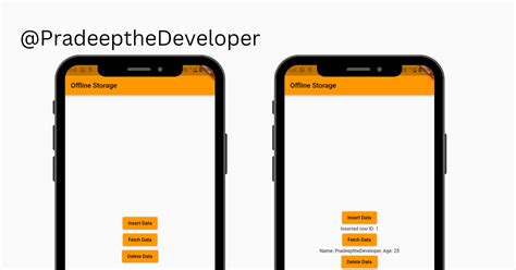 Offline Storage App Flutter Sqlite Database Integration