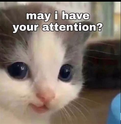 Please Meme