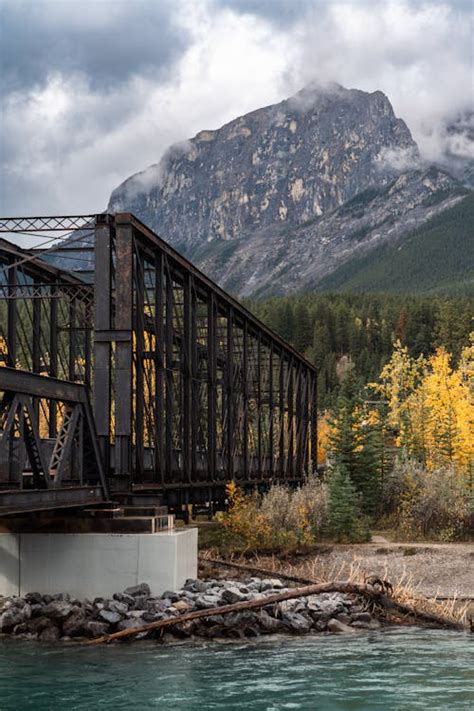 가을 강 경치 경치가 좋은 고요한 관광지 광야 구름 금속 다리 나무 나뭇잎 노란색 다리 떨어지다 러스틱 로키산맥 모험 바위산 풍경 밴프