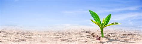 Responsibility Pusr Iot