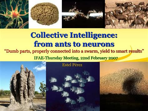 Ppt Collective Intelligence From Ants To Neurons Powerpoint Presentation Id 528333