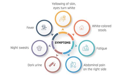 Cholangiocarcinoma Causes Symptoms And Effective Treatment For Fda