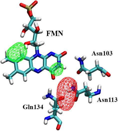 Occupancy Volume Maps Of Oxygen Red Isosurface Value 5 And Water Download Scientific