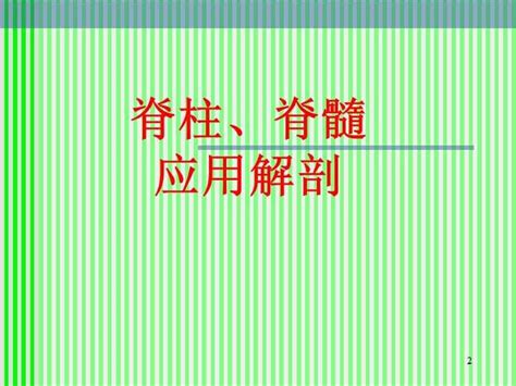 肋脊点和肋腰点示意图 图库 五毛网