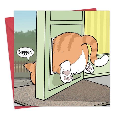 Twizlerfunny Card With Fat Cat Stuck In Cat Flap Blank Desertcart Uae