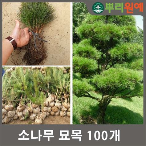 잔디견적 조경상담 환영 뿌리원예 입니다