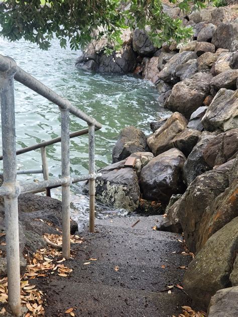 Chris D Grobler Phd On Linkedin Citizenscience