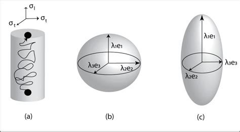 Diagram Showing Representation Of Diffusion Tensor A Diffusion In Download Scientific