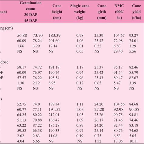 Effect Of Varied Row Spacing And Fertilizer Levels On Growth And Yield