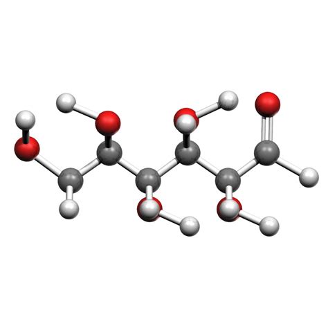 포도당 3d 모델 5 Ma Unknown Obj Free3d