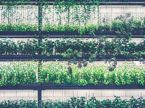 Green Infrastructure Solutions Project Ods