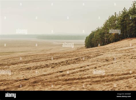 Bledow Desert Pustynia Bledowska Biggest Sand Desert In Silesia