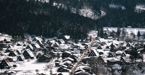 감기 갓쇼즈쿠리 건축 겨울 겨울 시즌 경치 고요한 관광 그림 같은 기후 나무 농촌의 눈 눈이 내리는 동아시아 마을 목조 주택 문화 유산 산