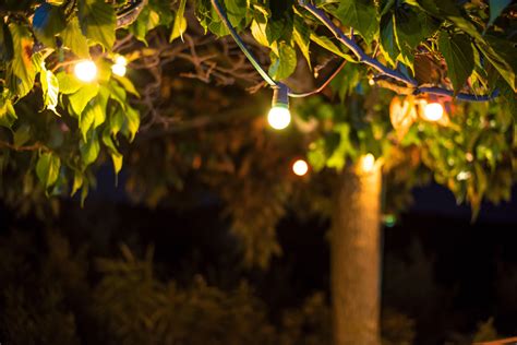 Festoon Light Ideas Decorate Your Outdoor Areas