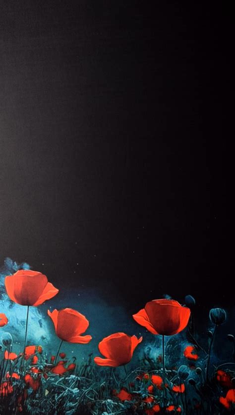 Úplet Kimo V černé Barvě S Digitálním Potiskem Vlčích Máků Cc365a Terry Móda