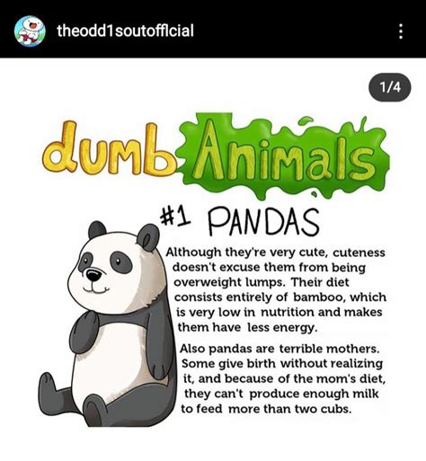 How Dare R Mxrmods