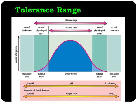 What Is A Tolerance Range Definition At James Mansell Blog