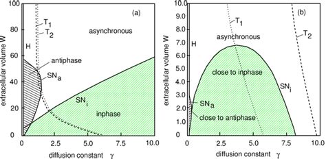 Diagrams Of Dynamical Regimes On The Parameter Plane γ W Cells Are
