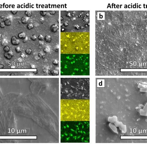 Structure Of S Sebs Download Scientific Diagram