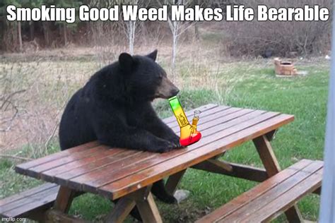Good Weed Memes 31 Funny Weed Memes And High Quotes For 420