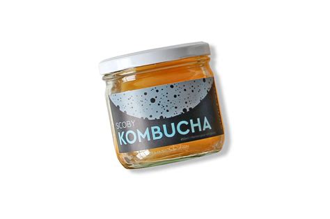 Scoby De Kombucha Microcosmos