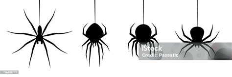 할로윈 거미의 웹 벡터 흰색 배경에 검은 거미 위험 곤충 공포 배너 무서운 포스터 Cobweb 격리 장식 스톡 일러스트 10 월 휴일 전단지 모형 검은색에 대한 스톡 벡터