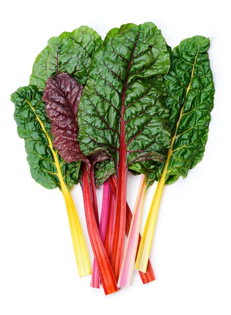 Swiss Chard Bright Lights Seeds Hometown Seeds