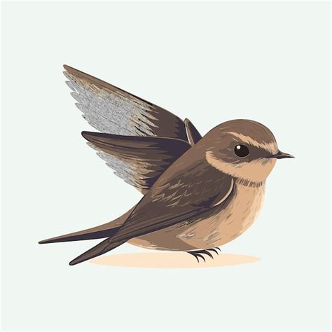 Premium Vector Vector Cute Common Swift Cartoon Style