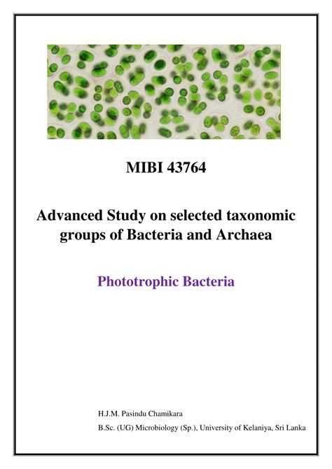 Pdf Phototrophic Bacteria