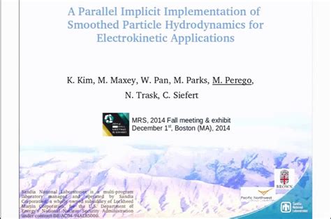 A Parallel Implicit Implementation Of Smoothed Particle Hydrodynamics For Electrokinetic