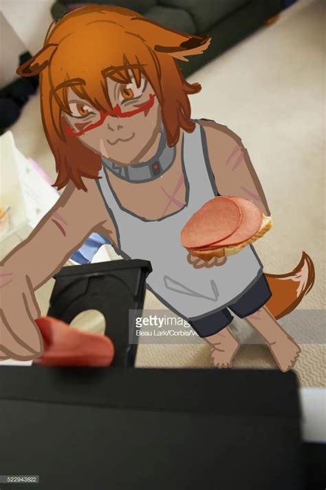 Ren Hana Memeees Милые рисунки Любители кошек Иллюстрации