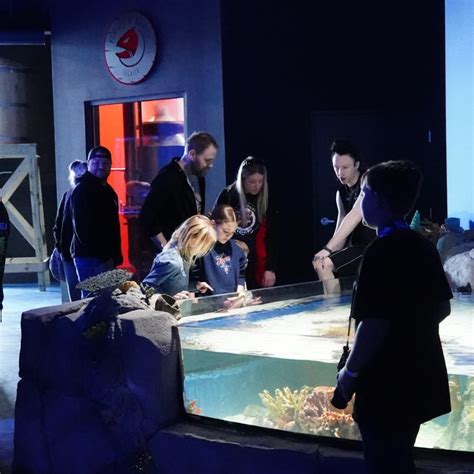 Travel Info Legasea Aquarium And The Reptarium