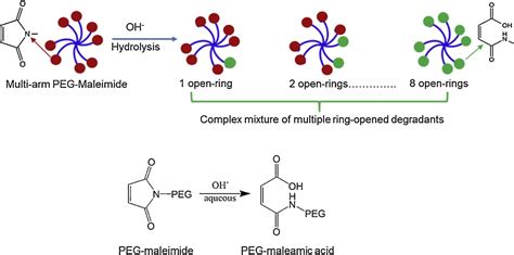 Peg Maleimide Boc Sciences