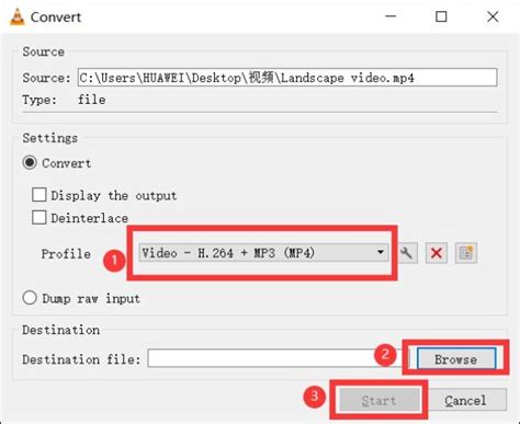 将 Dat 转换为 Mp4 的 4 种免费方法 桌面和在线