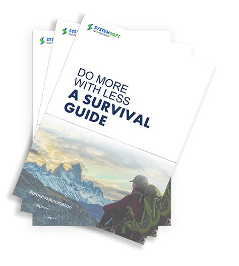 Do More With Less A Survival Guide System Soft