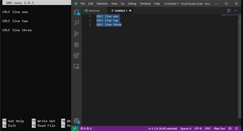 Formatting Issues When Pasting In WSL Tab Issue Microsoft Terminal GitHub