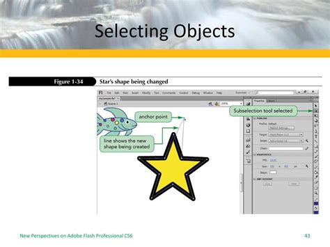 Adobe Flash Player Cs6 Tutorial Mastersany